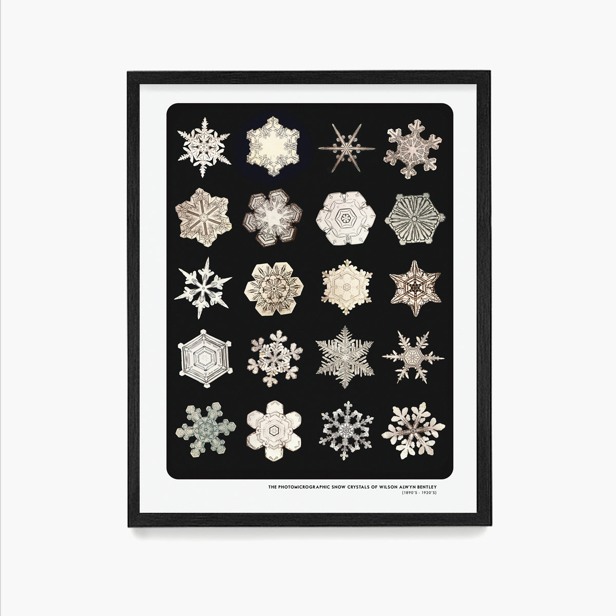 Snowflake Typology Poster, Winter Wall Art, Wilson Alwyn Bentley Snowf ...